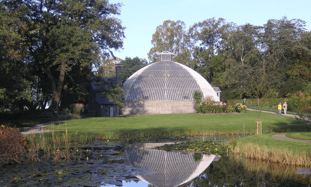 Bergius Botanic Garden Stockholm: A Botanical Wonderland