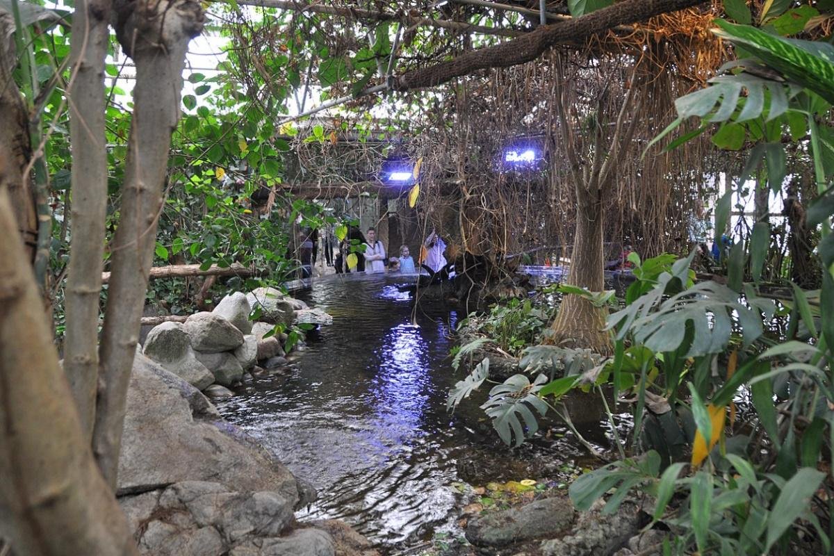 Butterfly House Haga Ocean: Butterfly House Sweden Experience